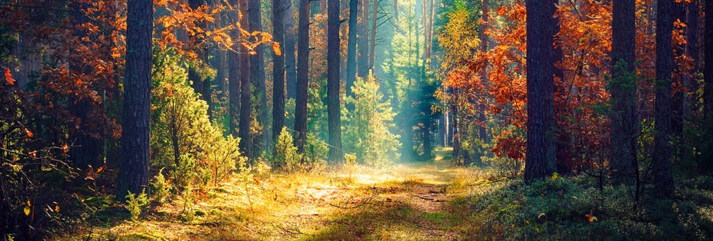 Top 10 Findings from the 2024 Mainframe User Survey - Planet Mainframe