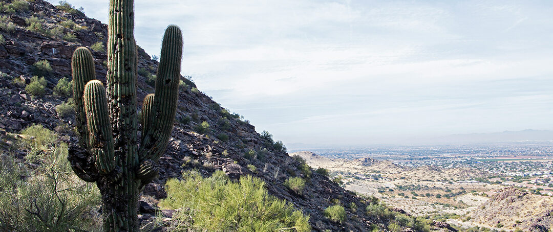 Thriving to survive - Planet Mainframe